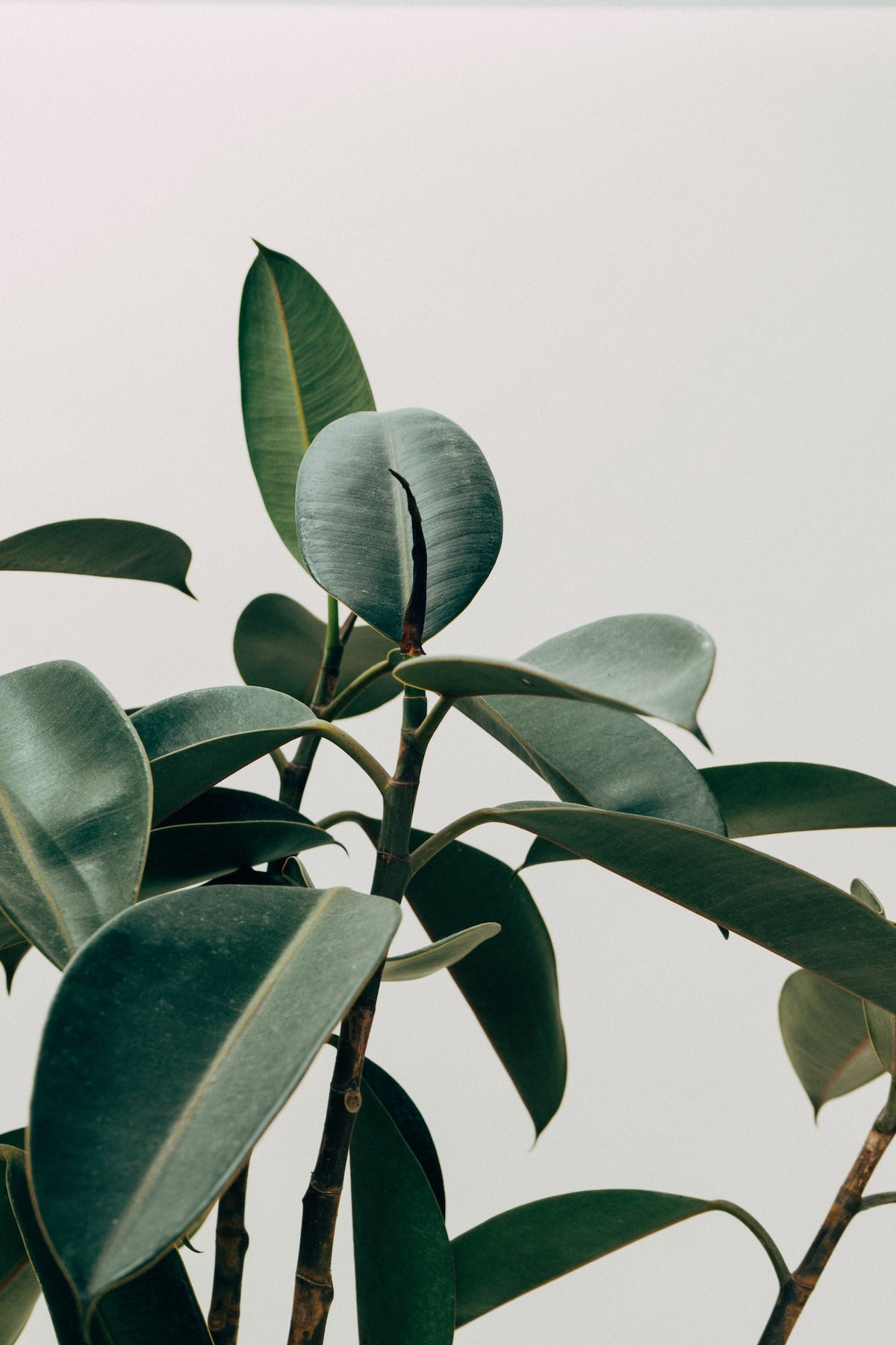 6 Surprising Physical Signs Of Arousal